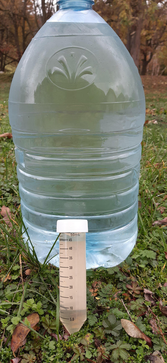 🍄 Faites pousser des Girolles Grises (Chanterelles) 🌱 - 50ml = 5L de M ...